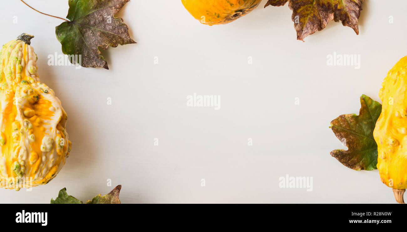 Autumn squash and leaves white thanksgiving background Stock Photo - Alamy