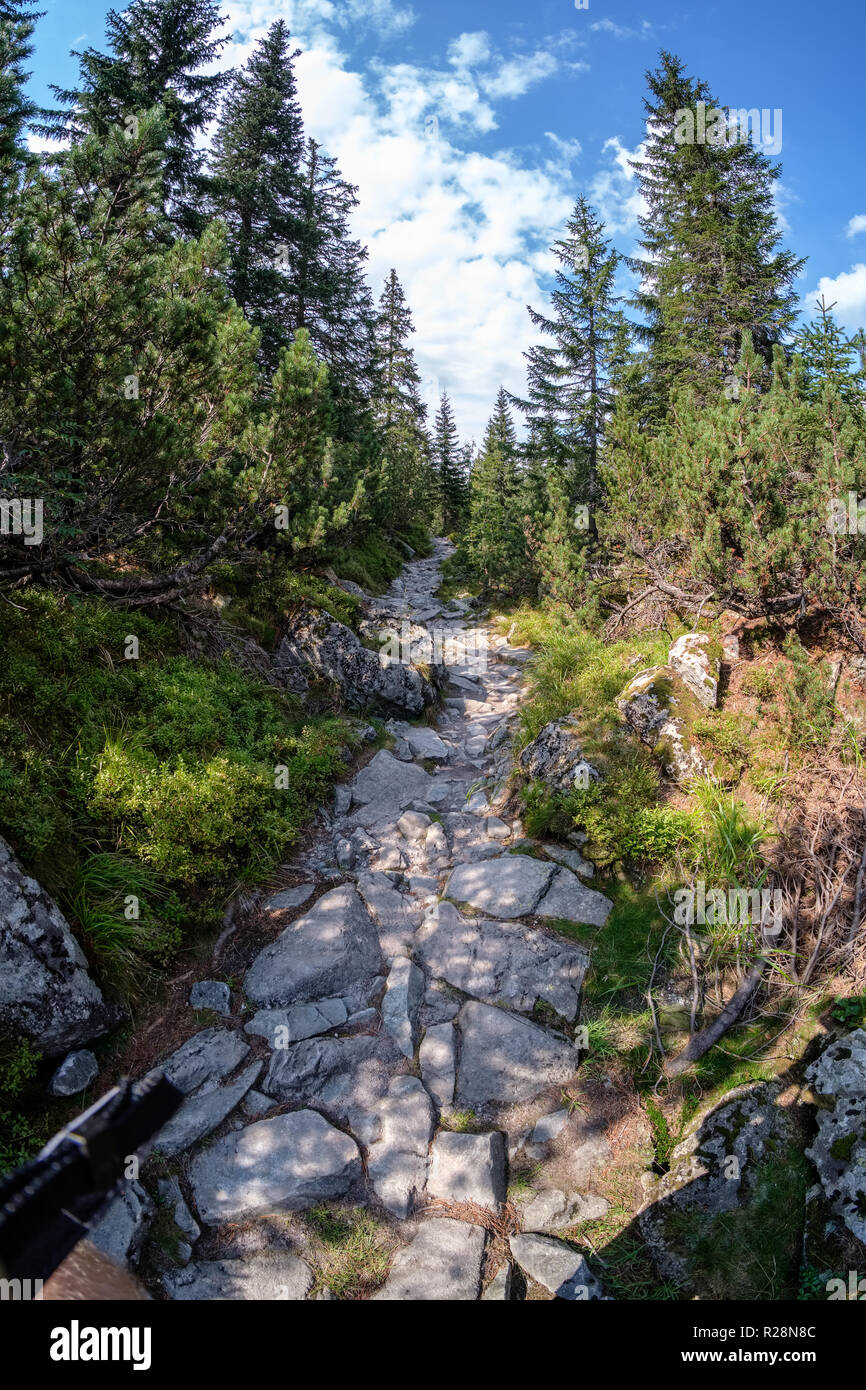 western carpathian mountain panorama in clear day with tourist hiking ...