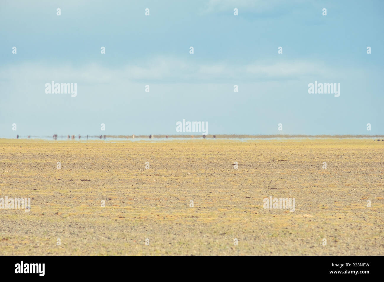 Optical mirage hi-res stock photography and images - Alamy