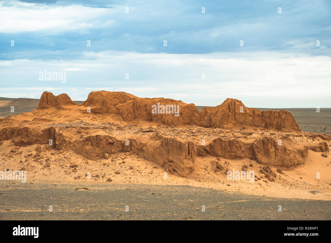 Vegetation Gobi Desert High Resolution Stock Photography and Images - Alamy