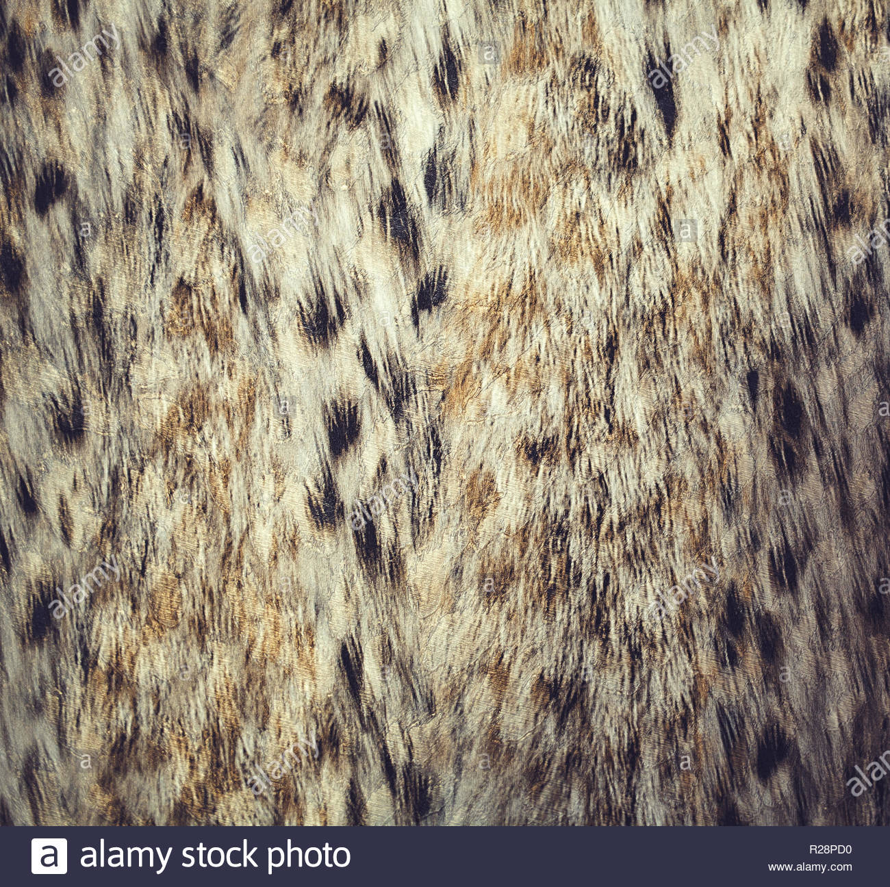 Fake Leopard High Resolution Stock Photography and Images - Alamy