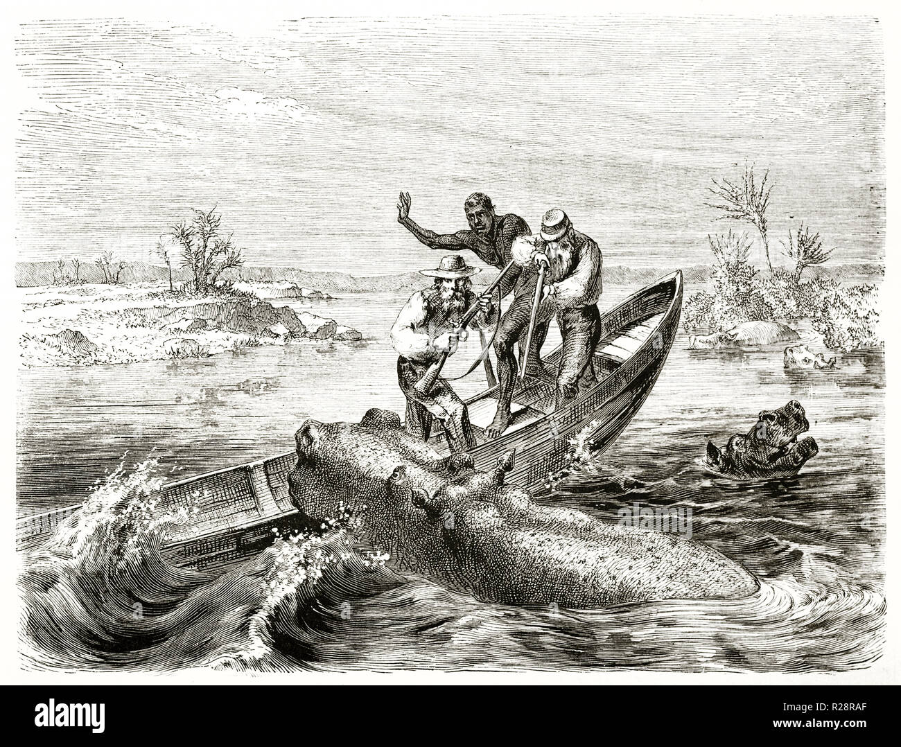 Old hippo hunting scene in Zambesi river. By Janet-Lange after Baldwin ...