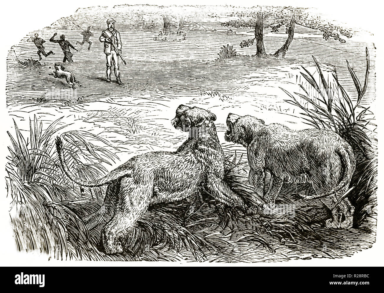 Hunt in the past africa hi-res stock photography and images - Alamy