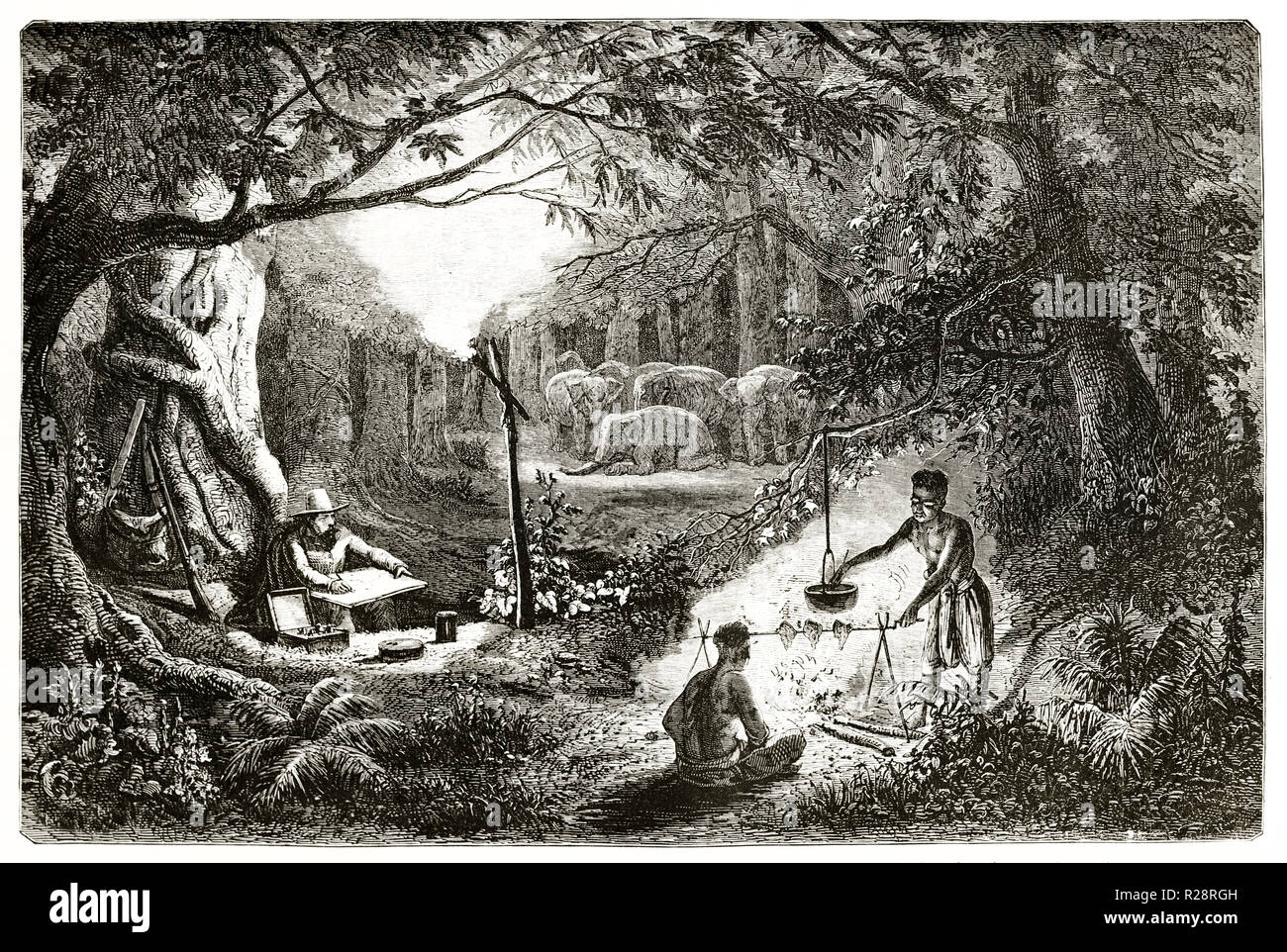 Old illustration depicting explorer Henri Mouhot in Laotian bivouac. By ...