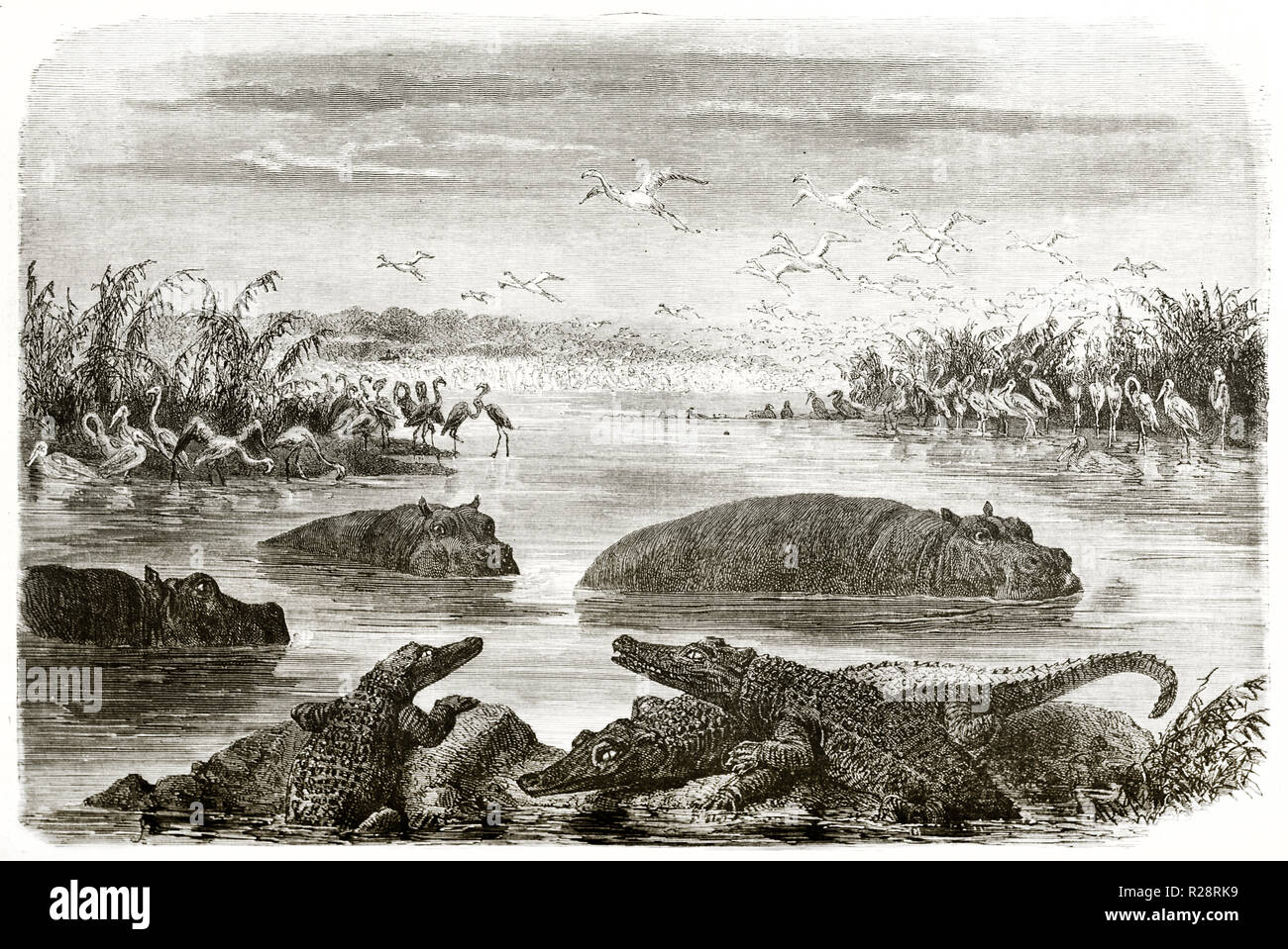 Pongola river hi-res stock photography and images - Alamy