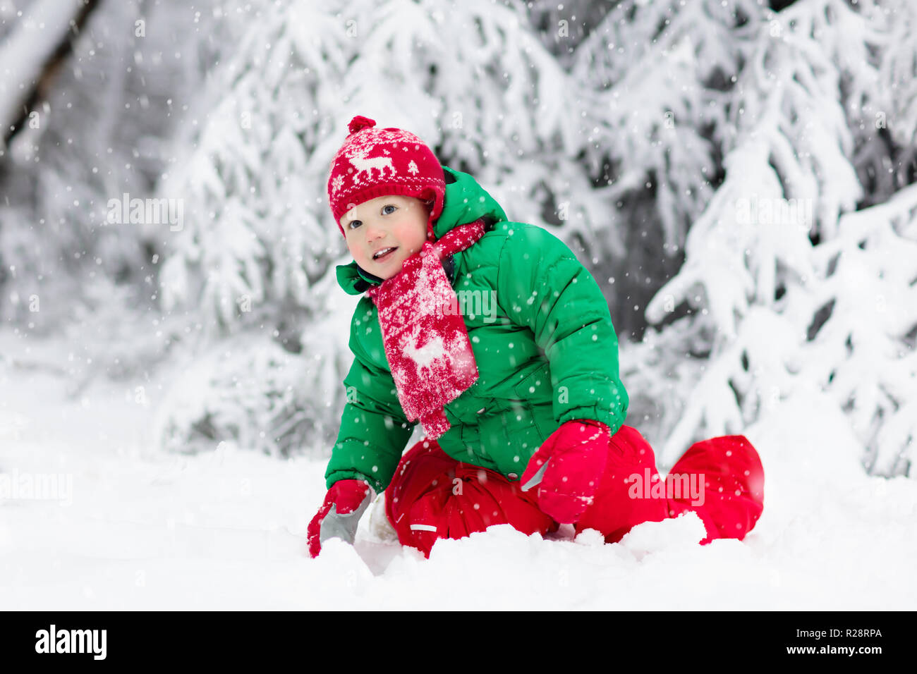 Little boy enjoying a sleigh ride. Child sledding. Toddler kid riding a ...