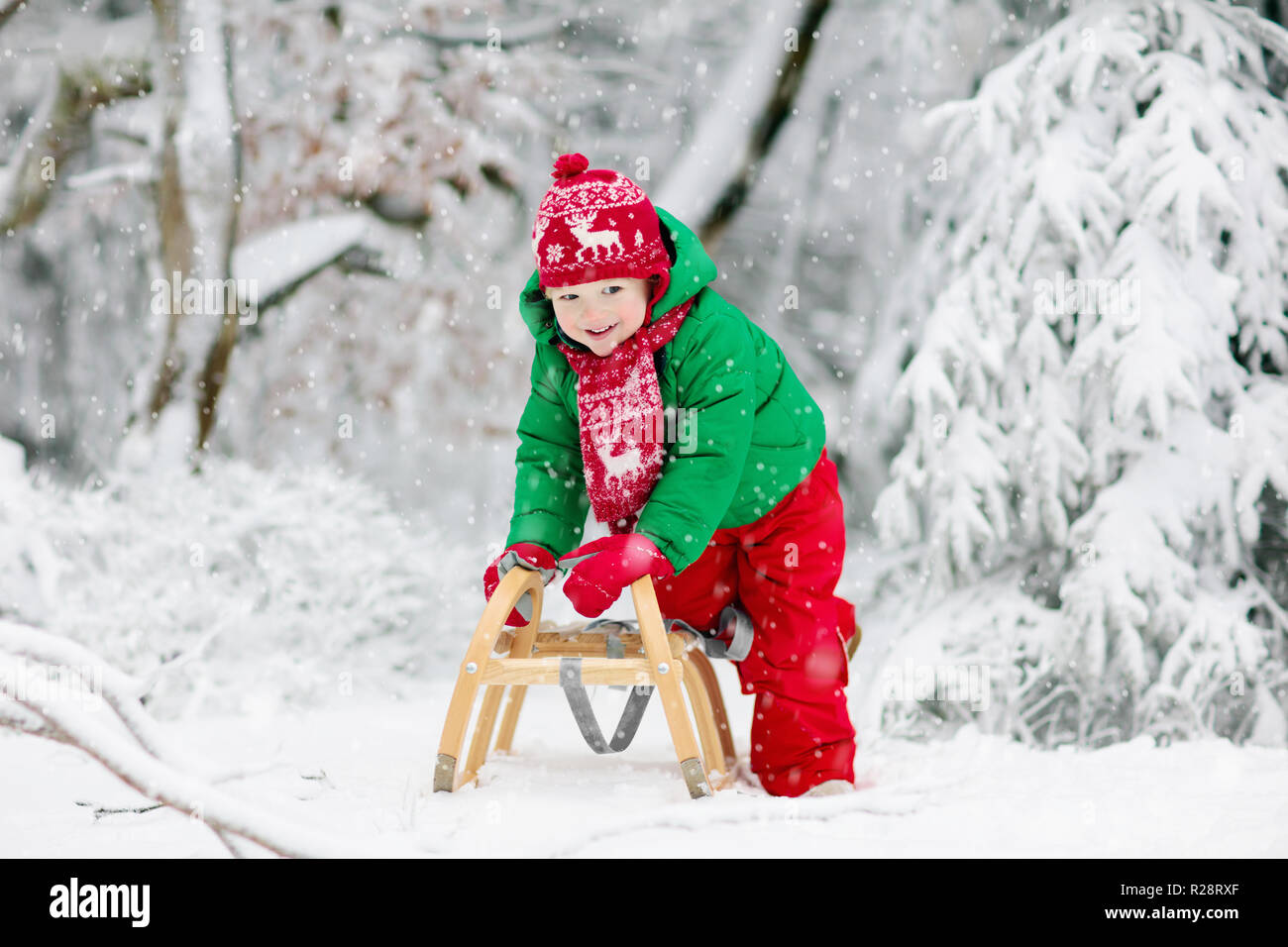 Little boy enjoying a sleigh ride. Child sledding. Toddler kid riding a ...