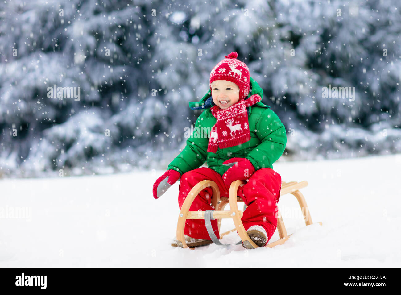 Little boy enjoying a sleigh ride. Child sledding. Toddler kid riding a ...