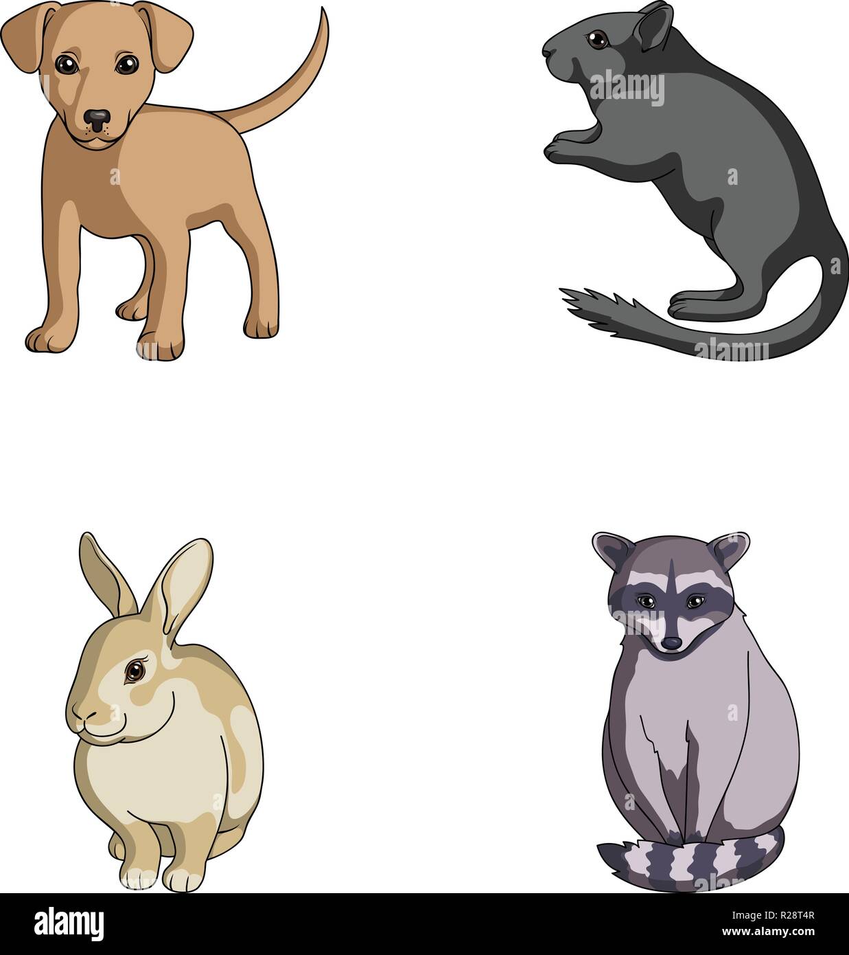 Cartoon Rodents Animals Vector Set Illustrations