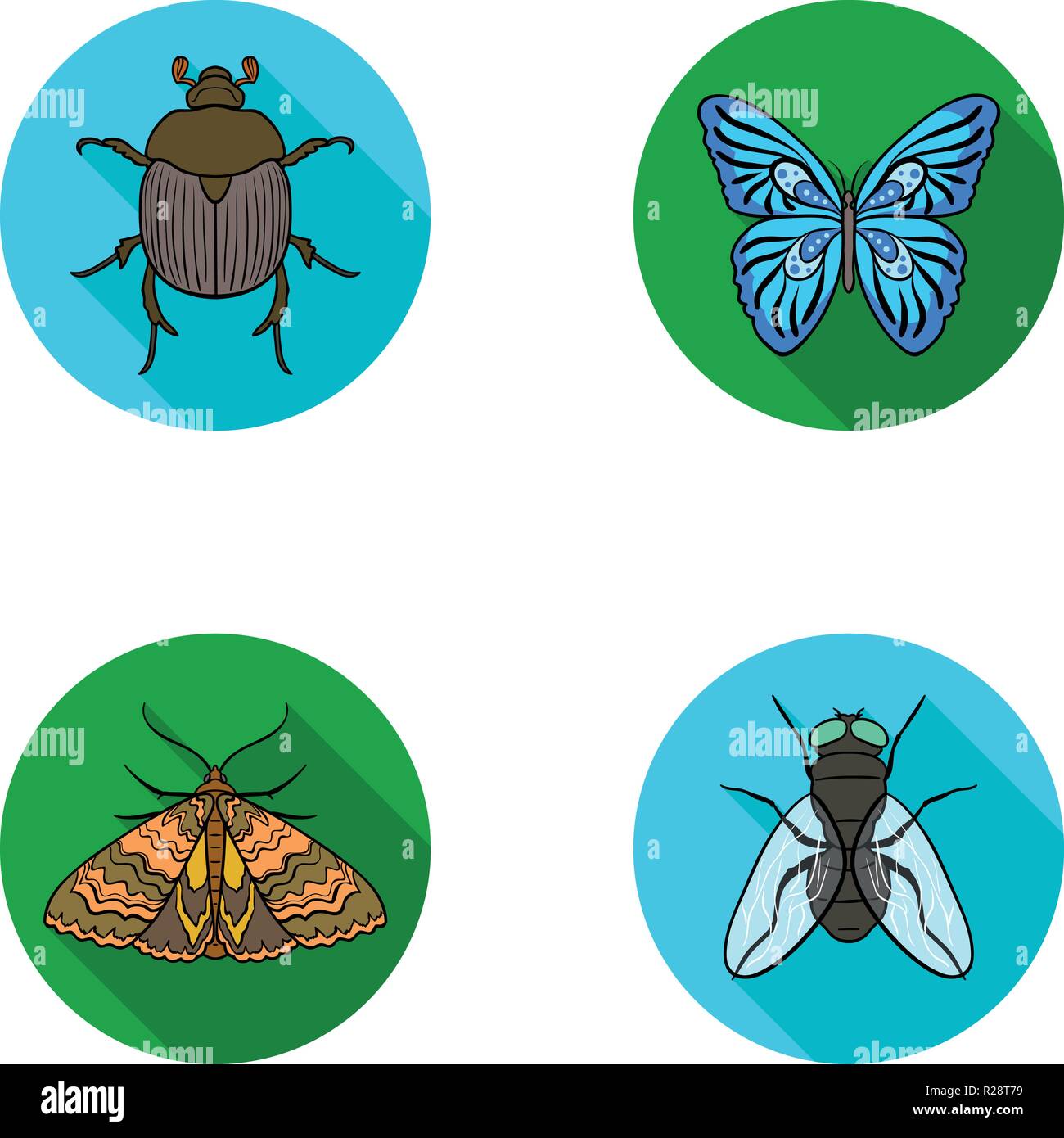 Paw beetle Stock Vector Images - Alamy