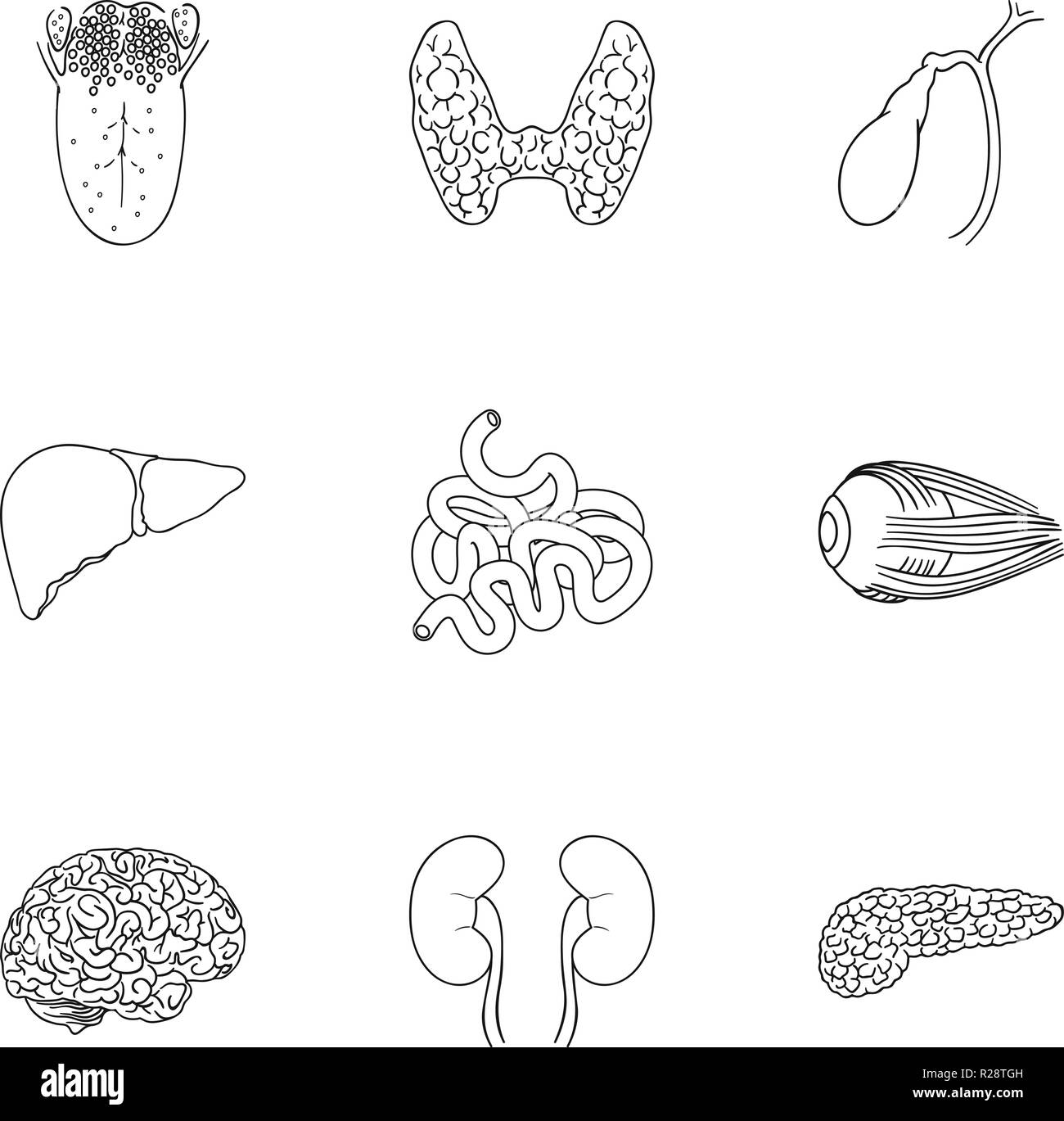 Human organs set icons in outline design. Big collection of human ...
