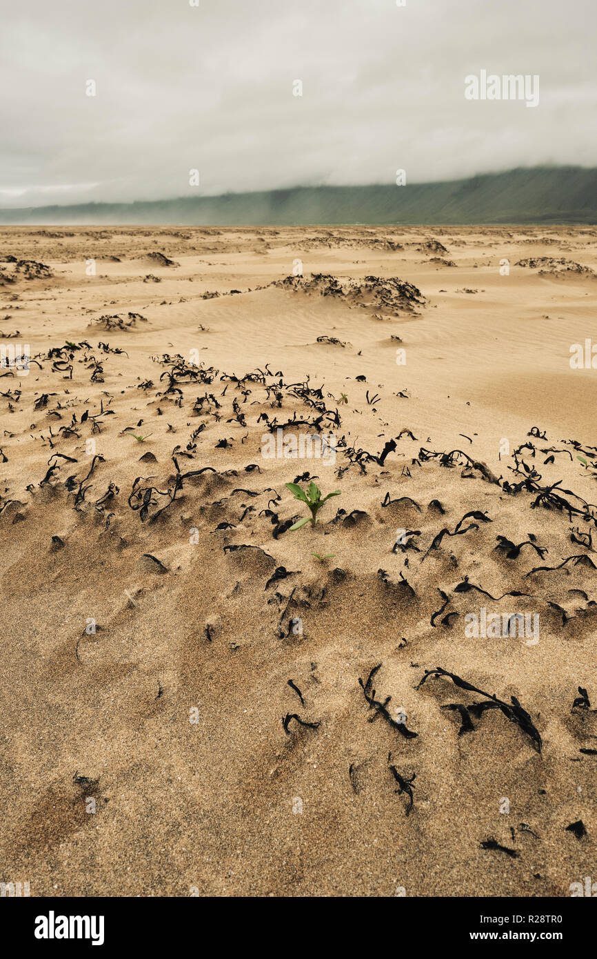 Red sands beach hi-res stock photography and images - Alamy