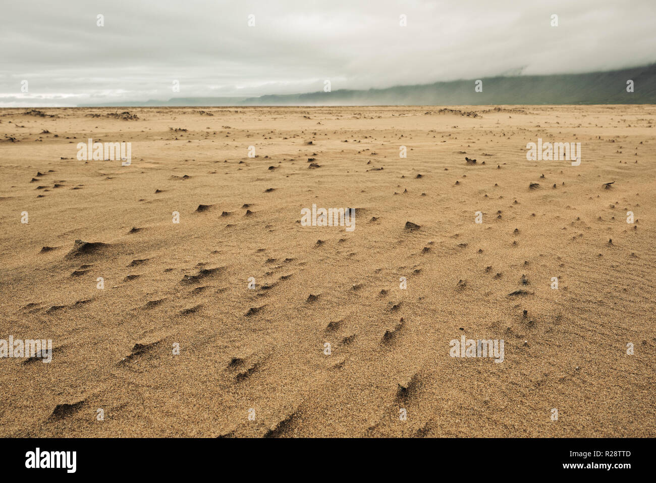 Rauðasandur beach or Red Sands beach is a beautiful large sandy beach ...