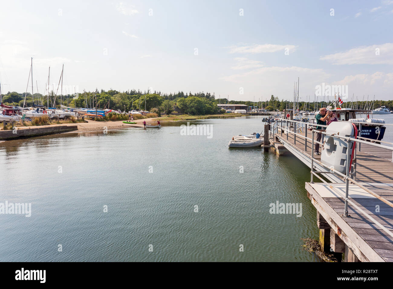 Beaulieu river walk new forest hi-res stock photography and images - Alamy