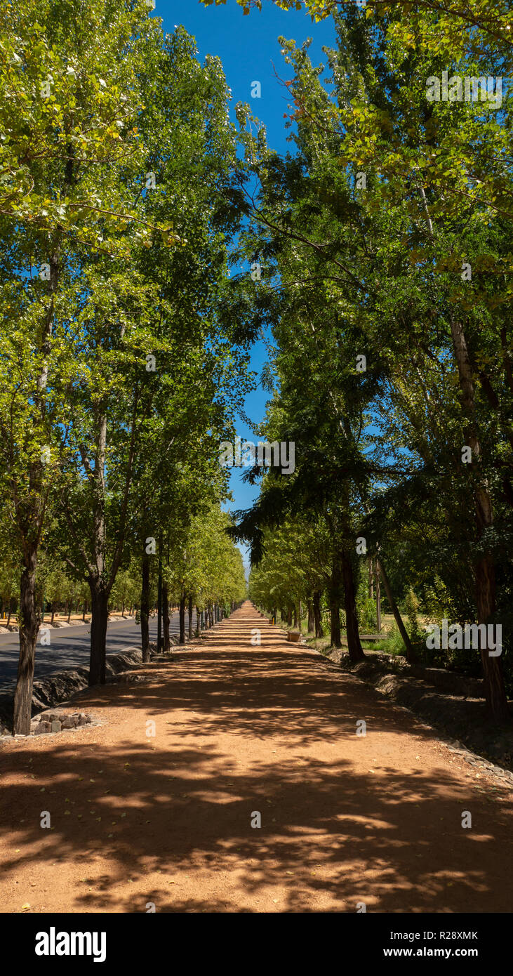 Front side perspective hi-res stock photography and images - Alamy