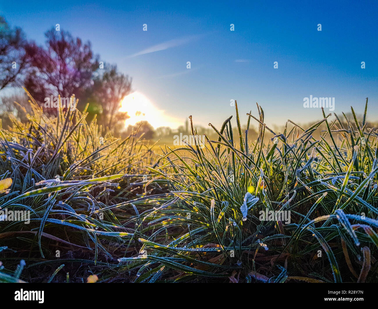 Shiny sunrise hi-res stock photography and images - Alamy