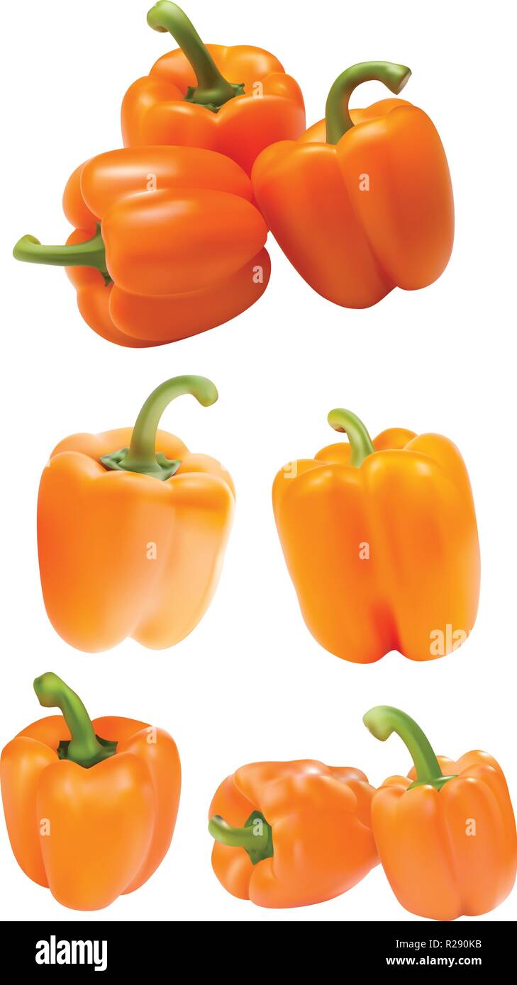 Realistic vector of fresh yellow paprika on a white background Stock ...