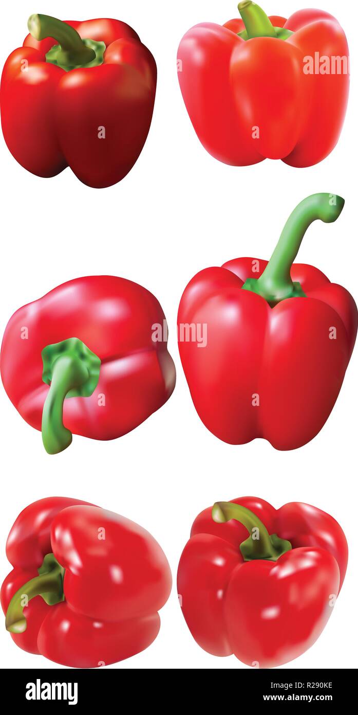 Vector illustration of detailed Fresh Red Paprika With Gradient Mesh ...