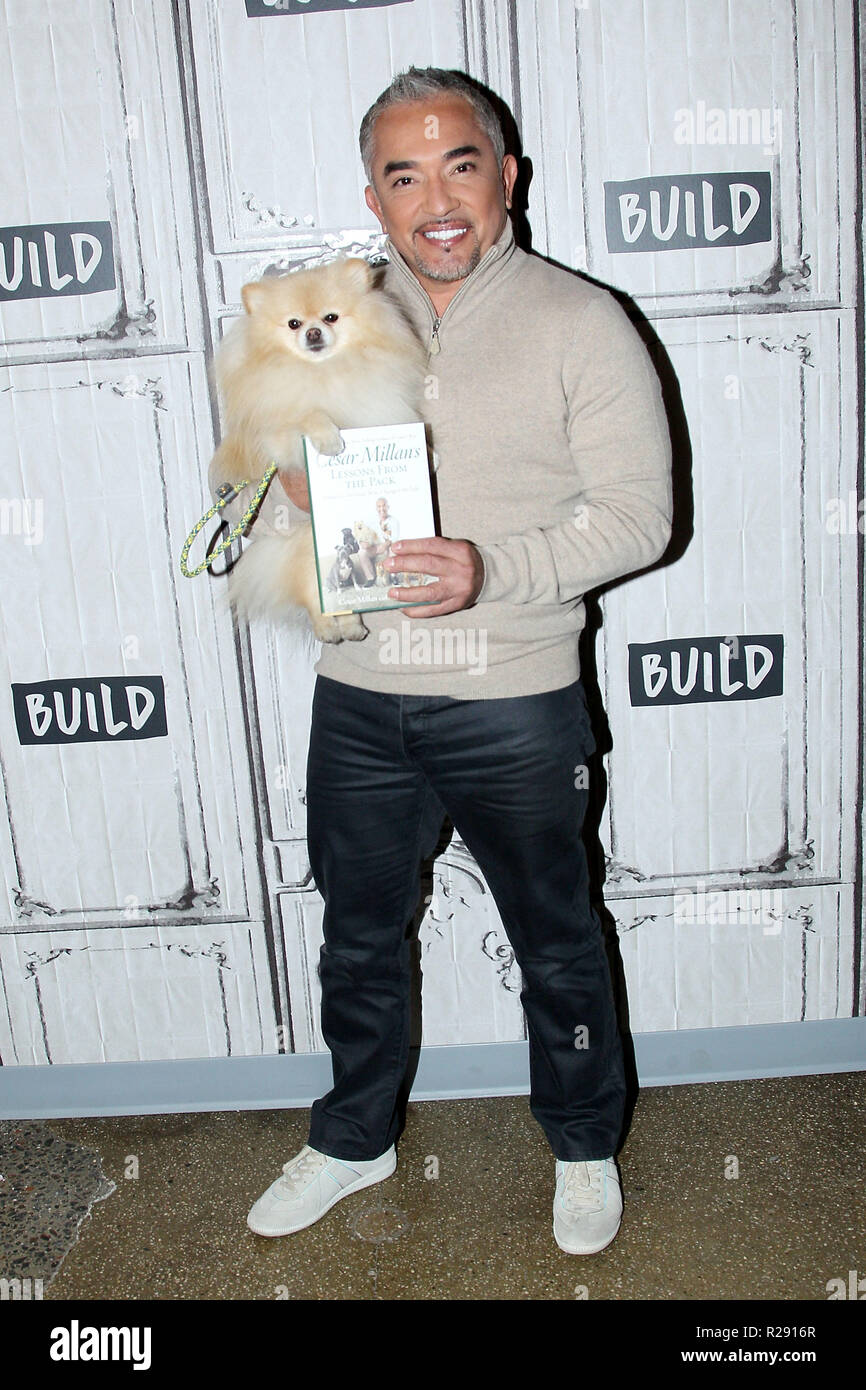 NEW YORK, NY - FEBRUARY 17: Cesar Millan attends Build Series to ...