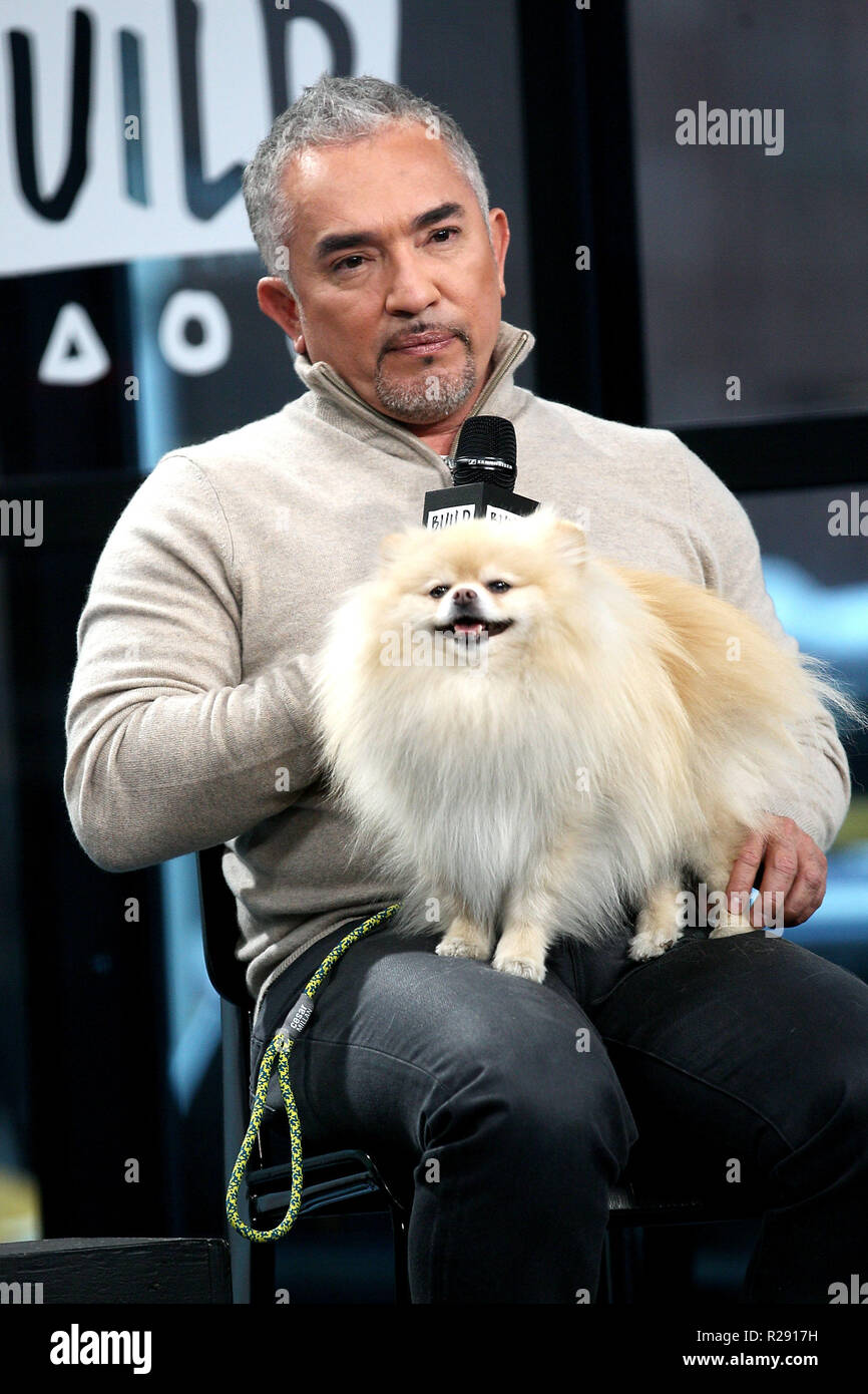 NEW YORK, NY - FEBRUARY 17: Cesar Millan attends Build Series to ...