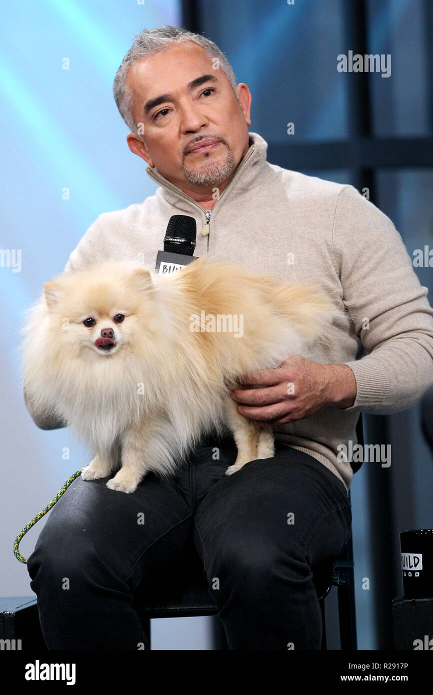 NEW YORK, NY - FEBRUARY 17: Cesar Millan attends Build Series to ...