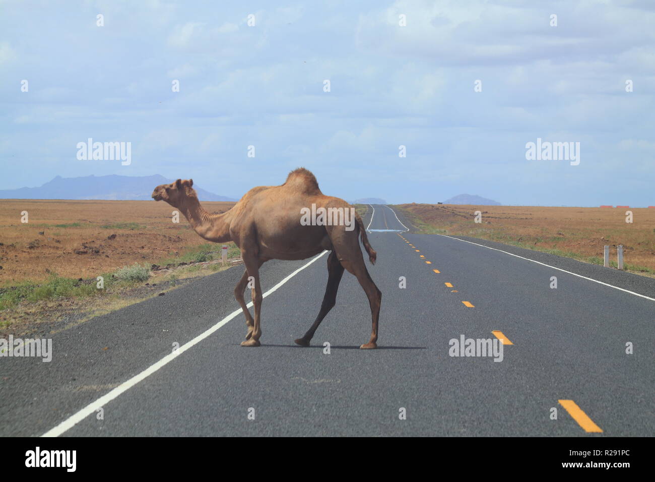 sahara desert street Stock Photo - Alamy