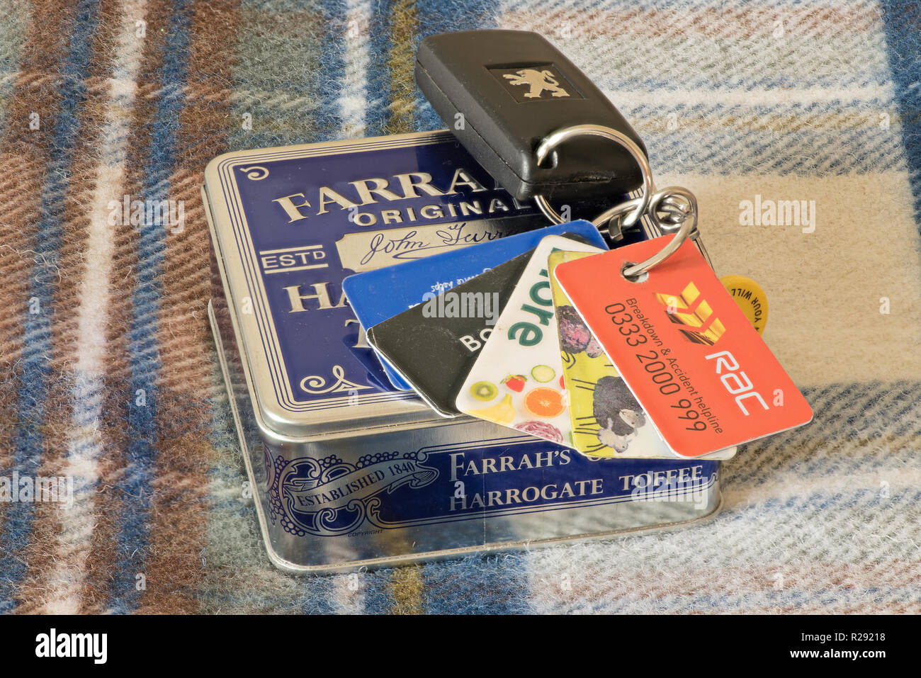 Car key fob Stock Photo - Alamy