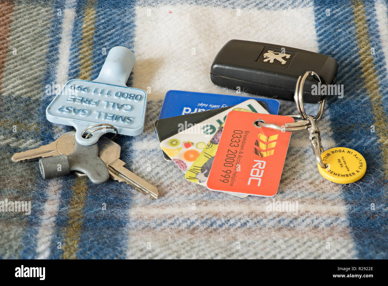 Car key fob Stock Photo - Alamy