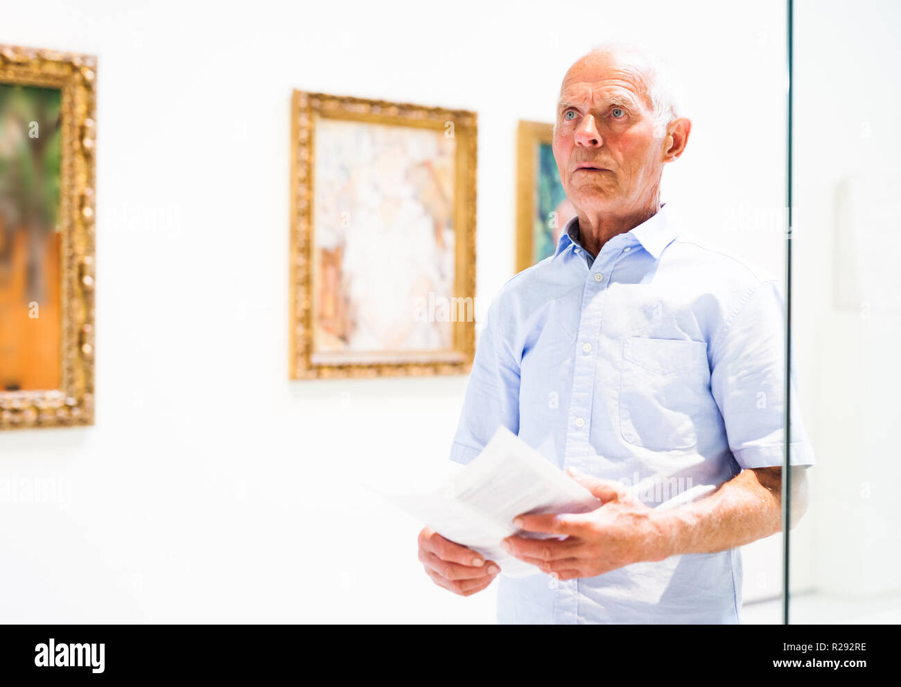 Portrait of senior man with guide brochure looking at paintings in art ...