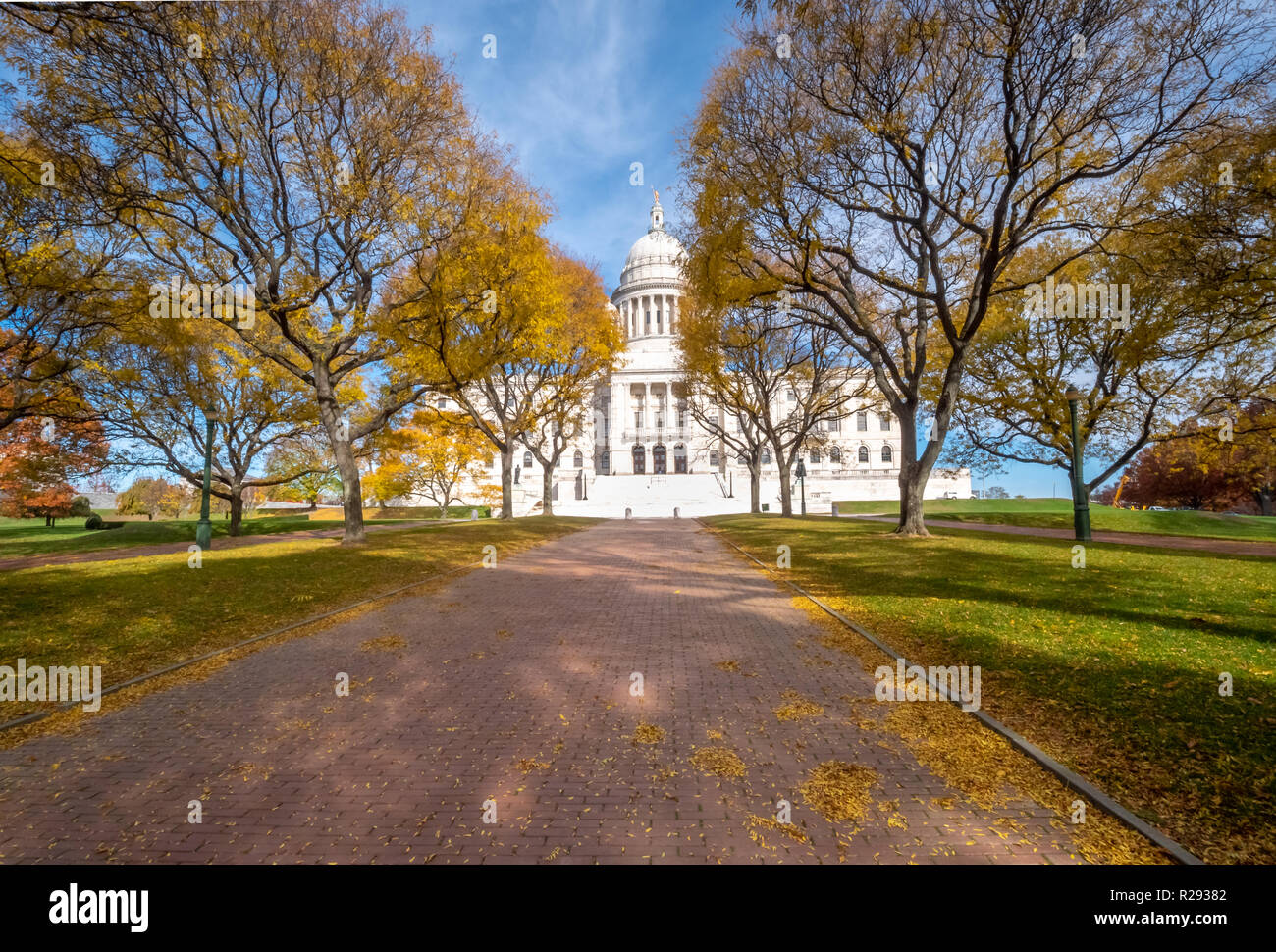 Low Angle Picture of the Large Tree with Yellow Leafs Leading to the ...