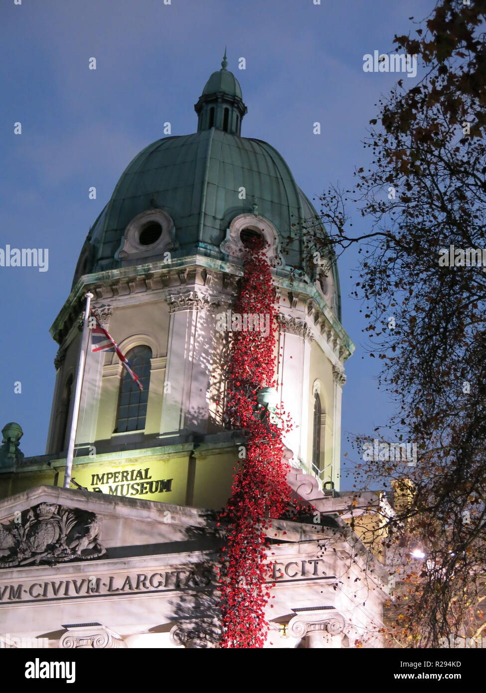 Falling poppies hi-res stock photography and images - Alamy