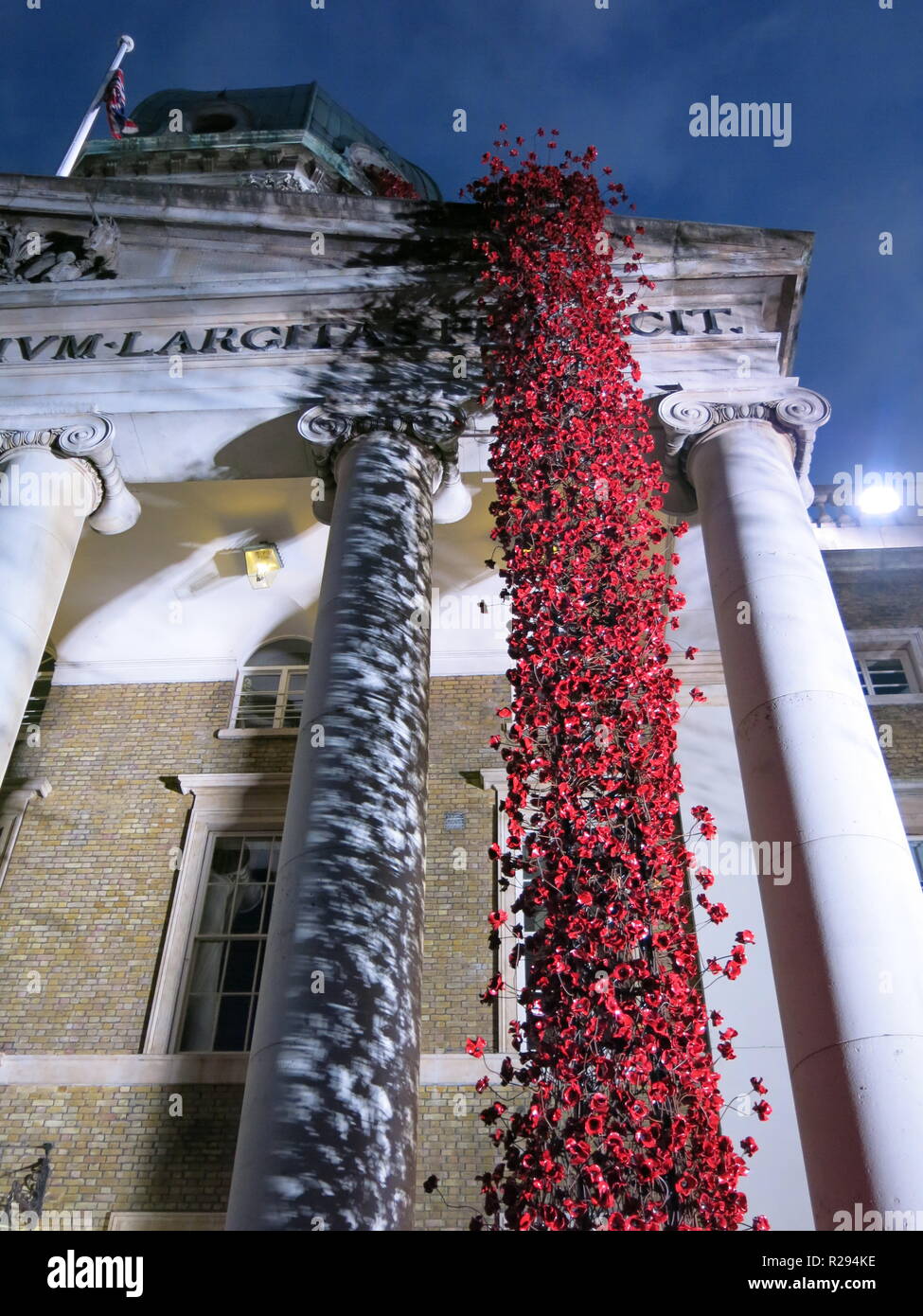 Cascade of poppies hi-res stock photography and images - Alamy
