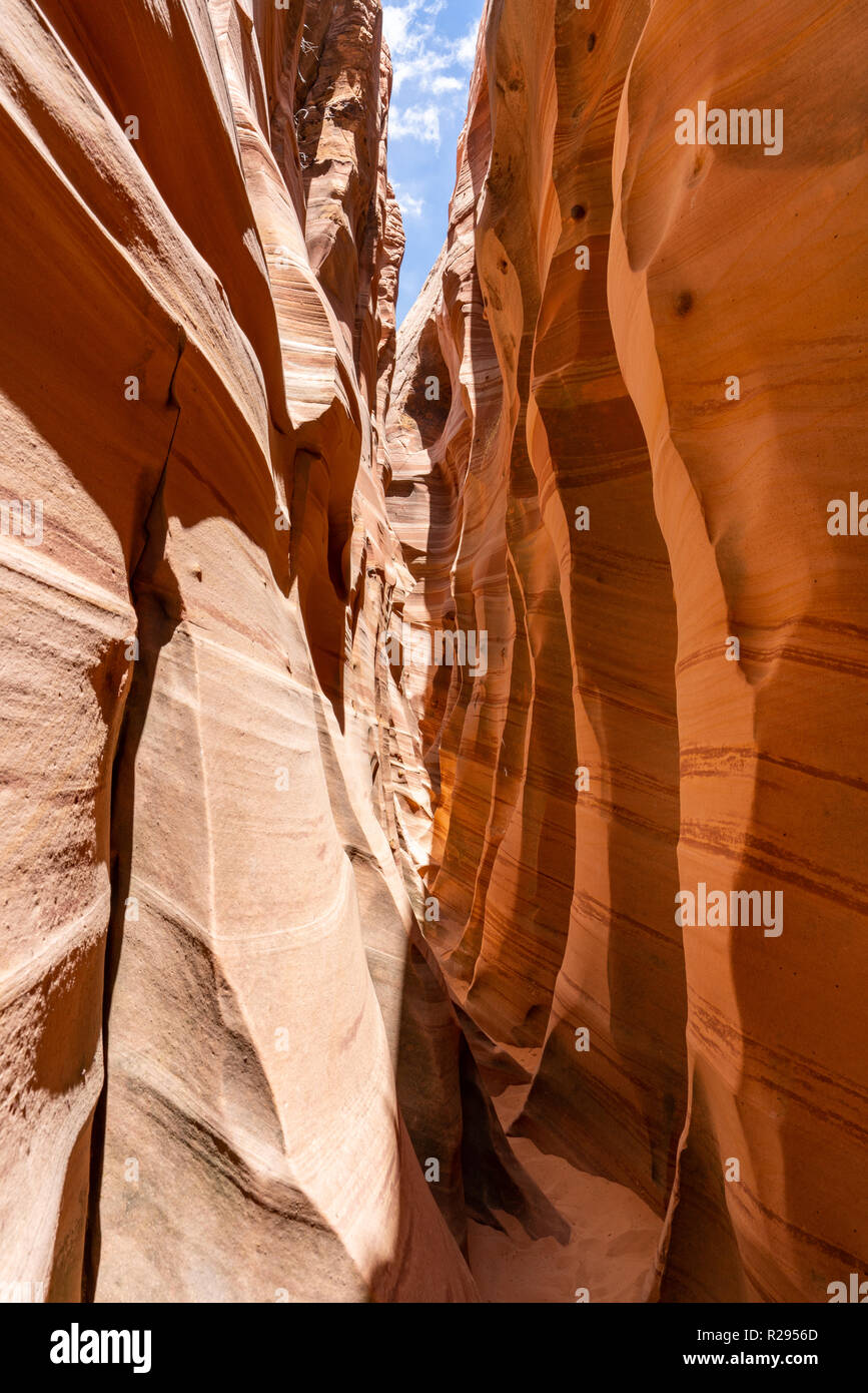 Zebra slot canyon hi-res stock photography and images - Alamy