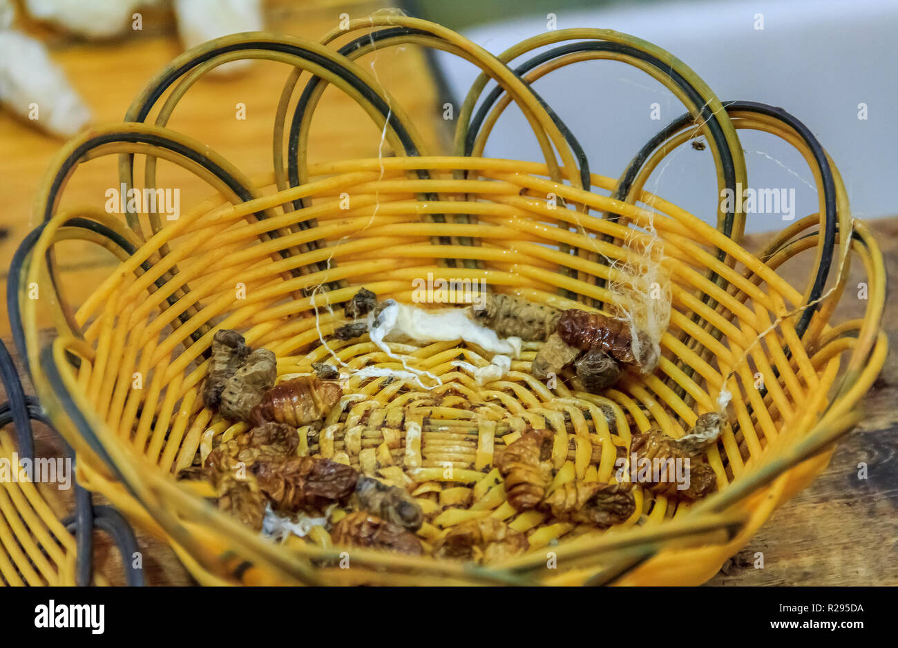 Silk manufacturing process hi-res stock photography and images - Alamy
