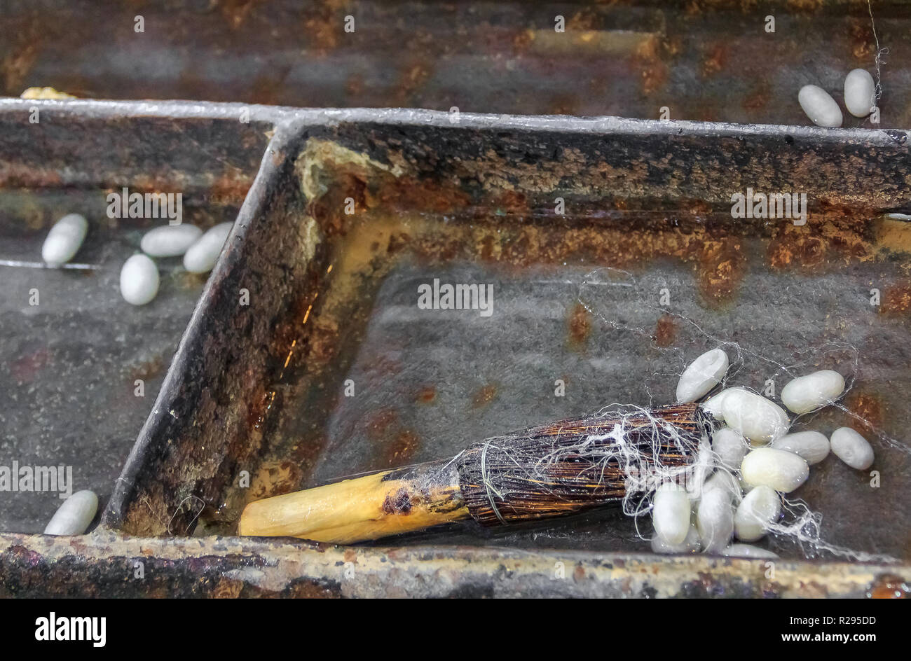 Caterpillar making silk hi-res stock photography and images - Alamy