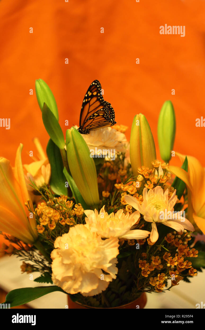 Butterfly lilies hi-res stock photography and images - Alamy