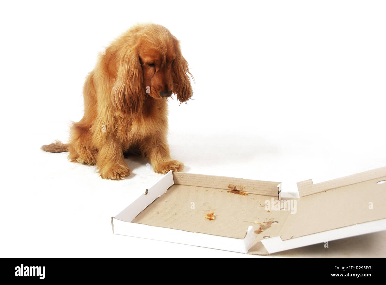 Empty pizza box hi-res stock photography and images - Alamy