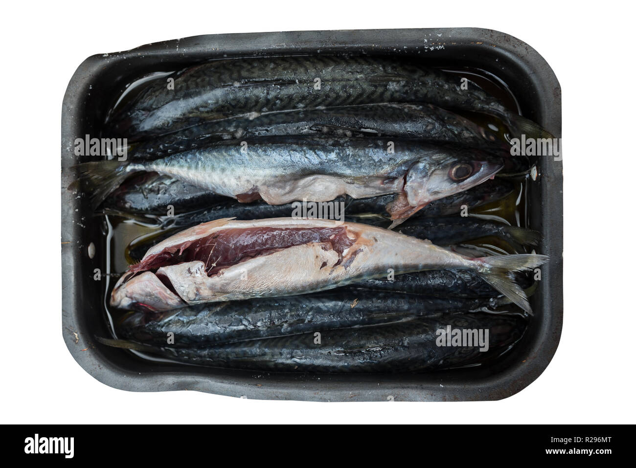 Whole fish pot white background hi-res stock photography and images - Alamy