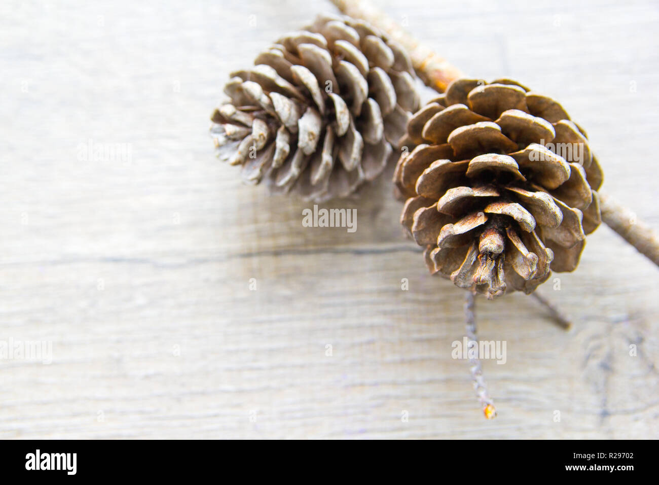 Bumps ornament hi-res stock photography and images - Alamy