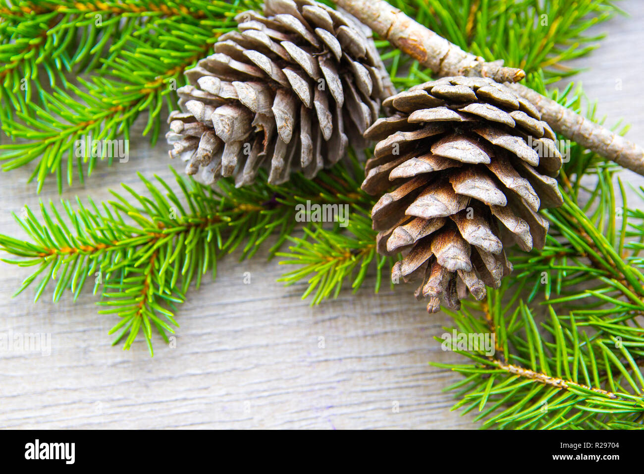 2017 upcoming holiday, Christmas forest bumps background Stock Photo ...