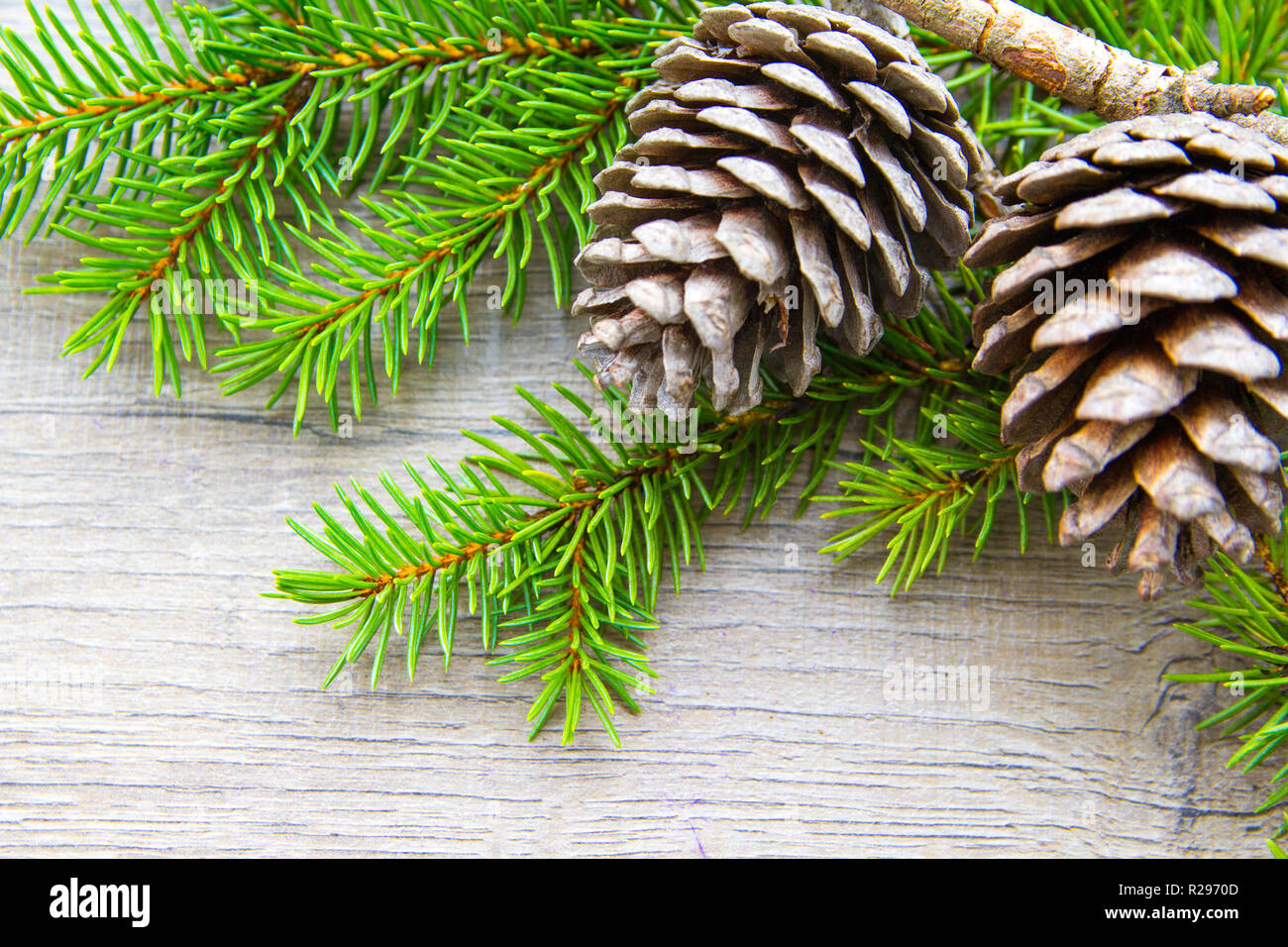 Bumps ornament hi-res stock photography and images - Alamy