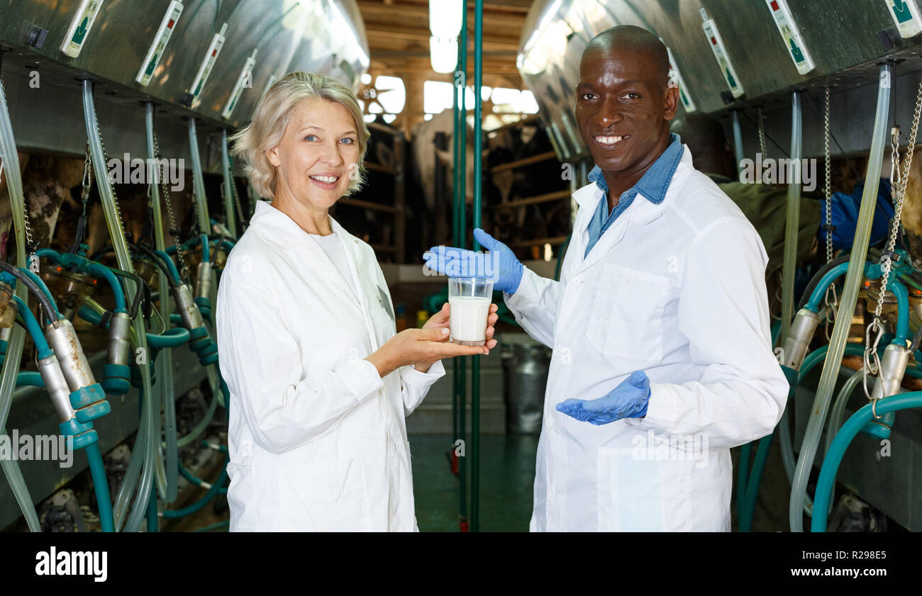 Portrait of two cheerful workers with cow milk in glass at dairy farm ...