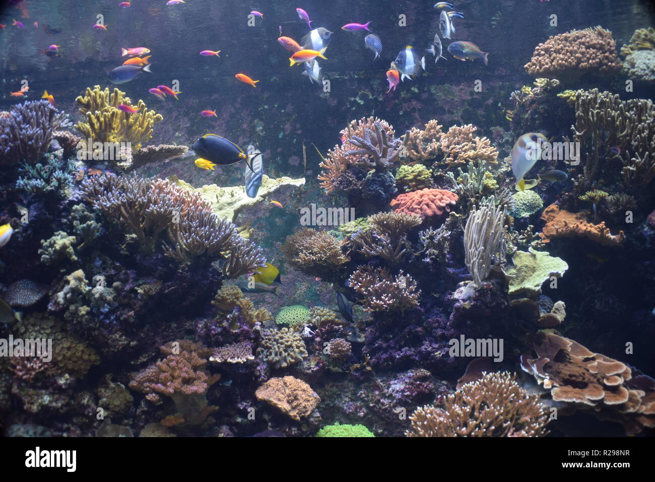 Museum sentosa island hi-res stock photography and images - Alamy