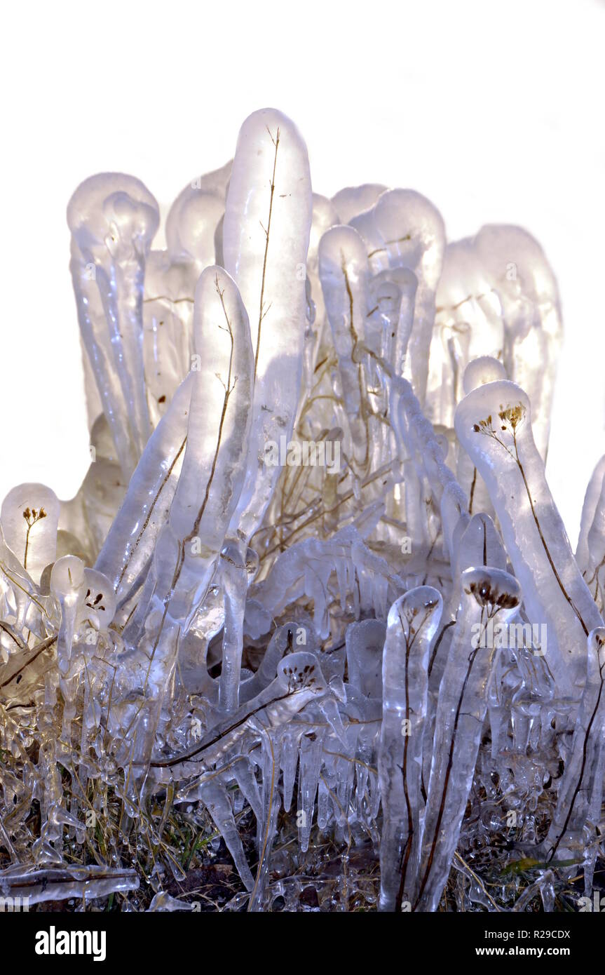Glazed frost hi-res stock photography and images - Alamy