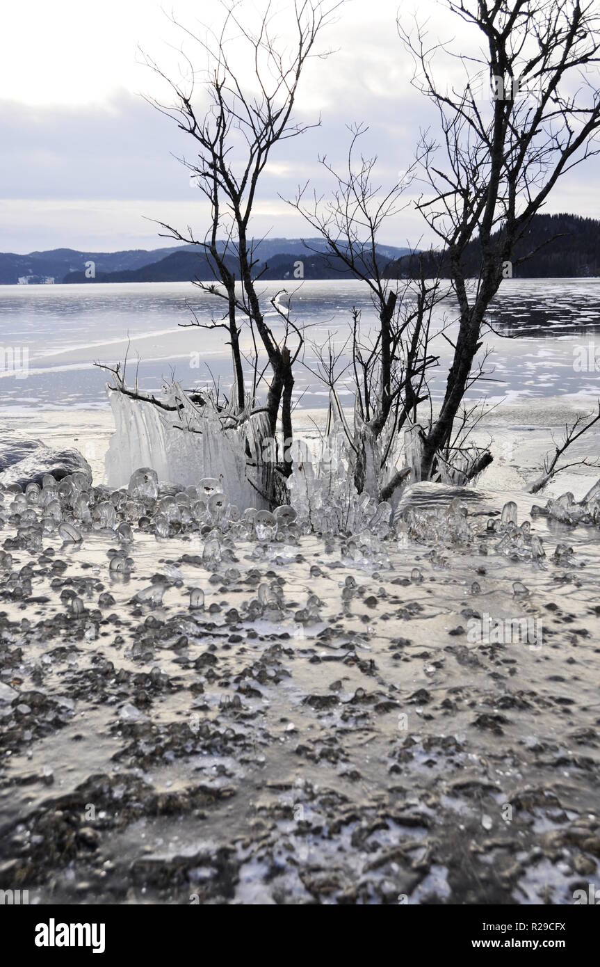 Ice shrubs hi-res stock photography and images - Alamy