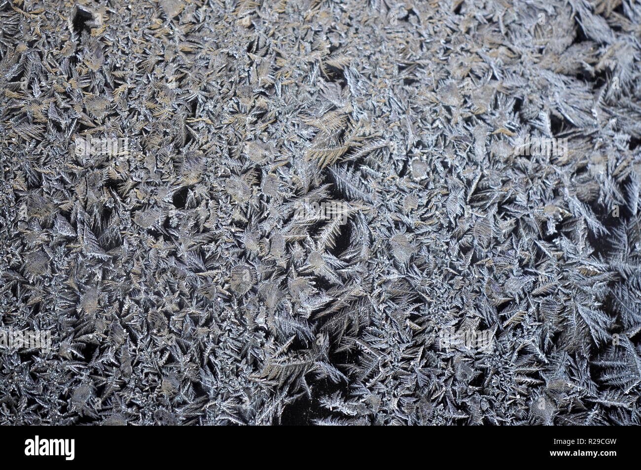 Transparent window hi-res stock photography and images - Alamy