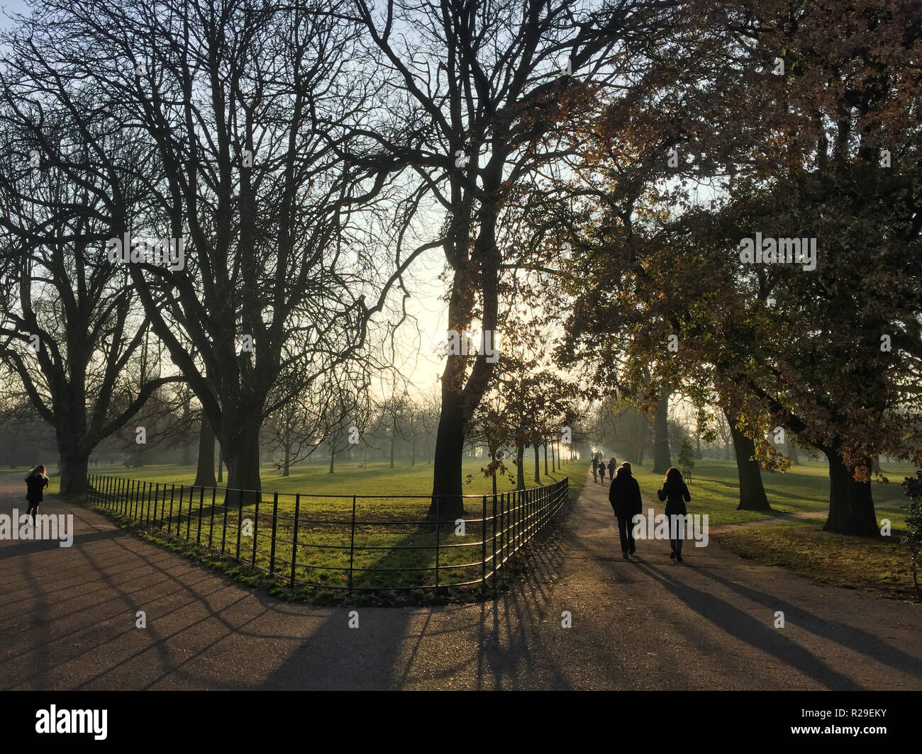 Afternoon park hi-res stock photography and images - Alamy
