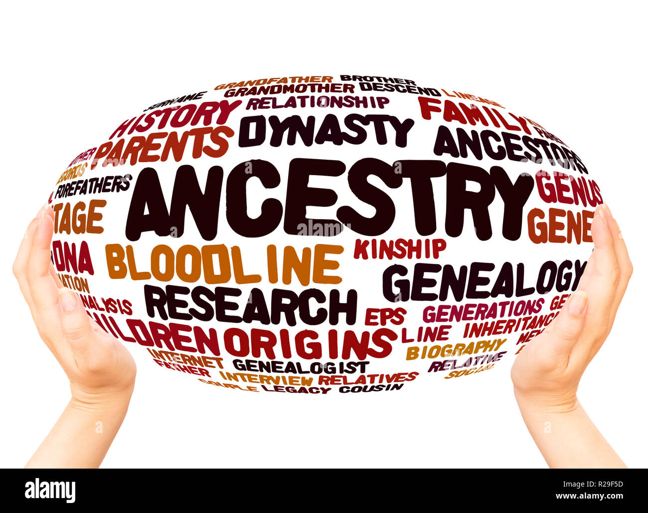 Ancestry word cloud hand sphere concept on white background Stock Photo ...