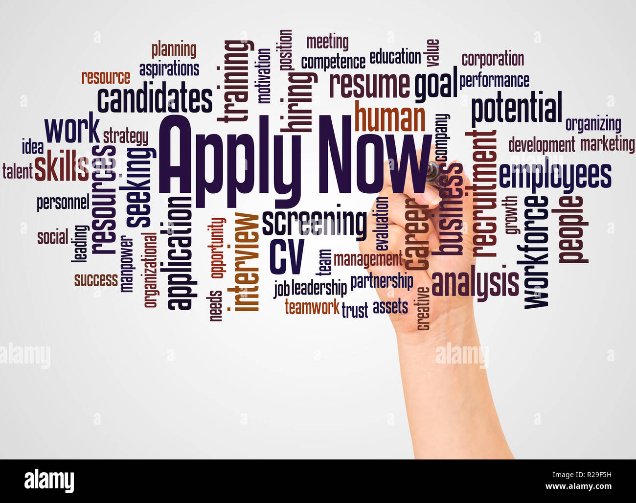 Apply Now, word cloud and hand with marker concept on white background ...