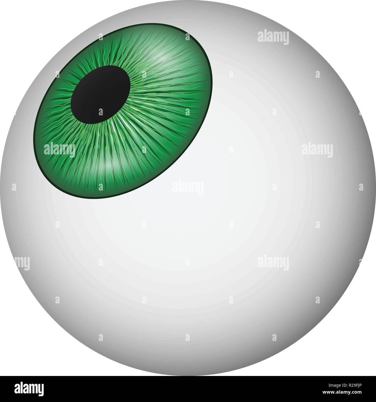 Eyeball icon. Realistic illustration of eyeball vector icon for web ...